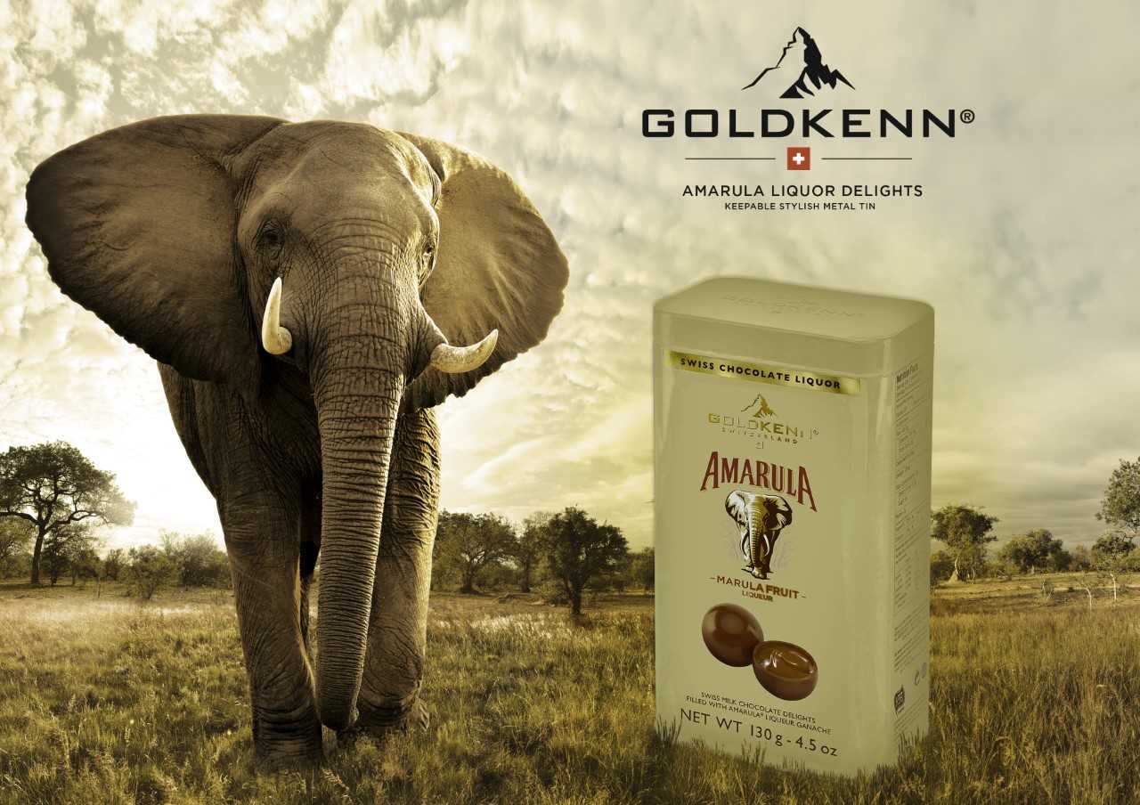 Goldkenn and Amarula join forces to help protect African elephants ...