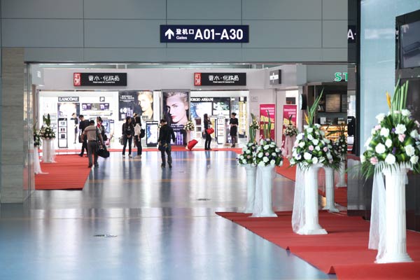 ADPI and partners to develop Chongqing Airport extension : Moodie ...