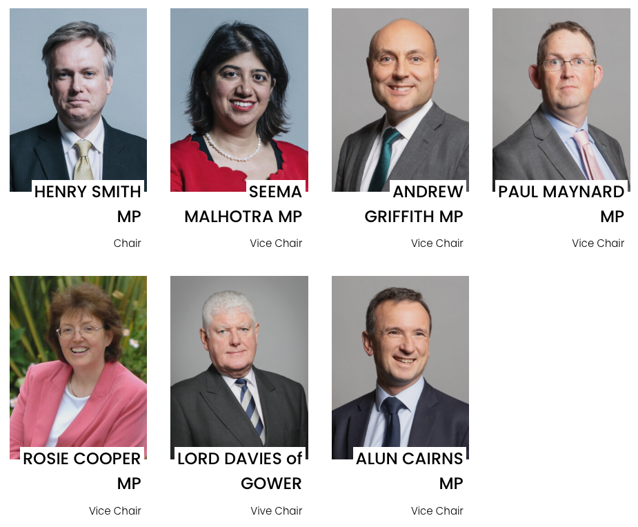 UK parliamentary group launches inquiry into impact of COVID-19 on ...