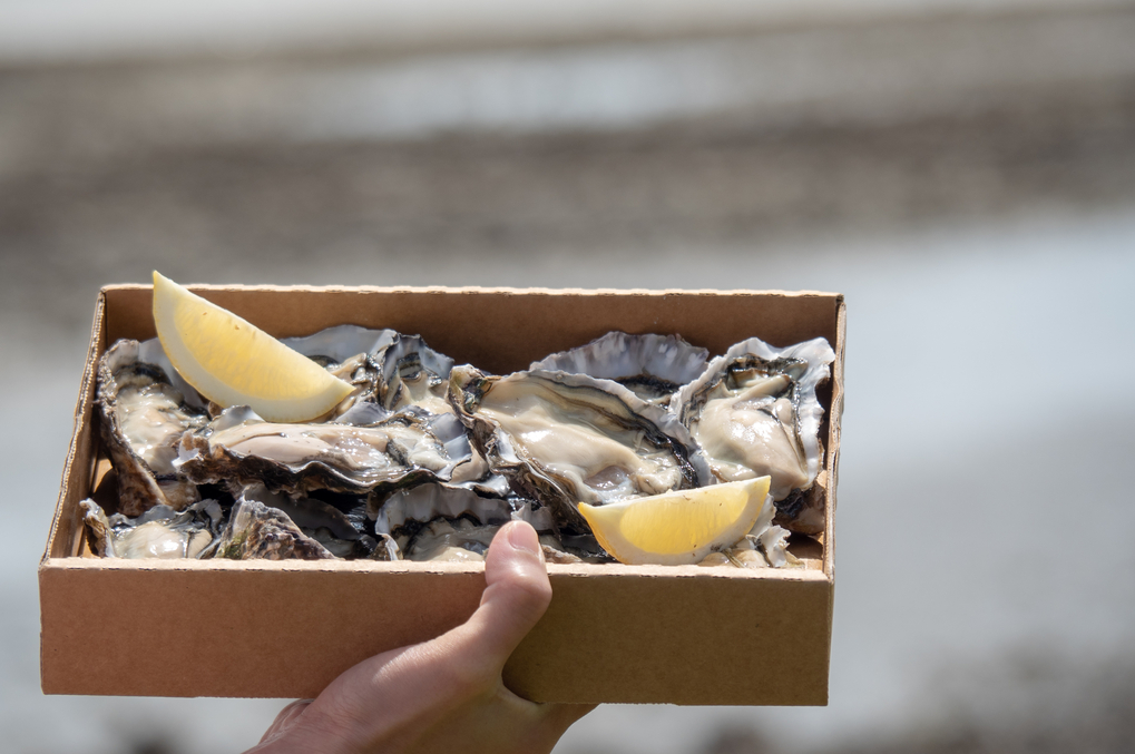 Global exclusive: Canada and New Zealand to launch offshore duty-free ...