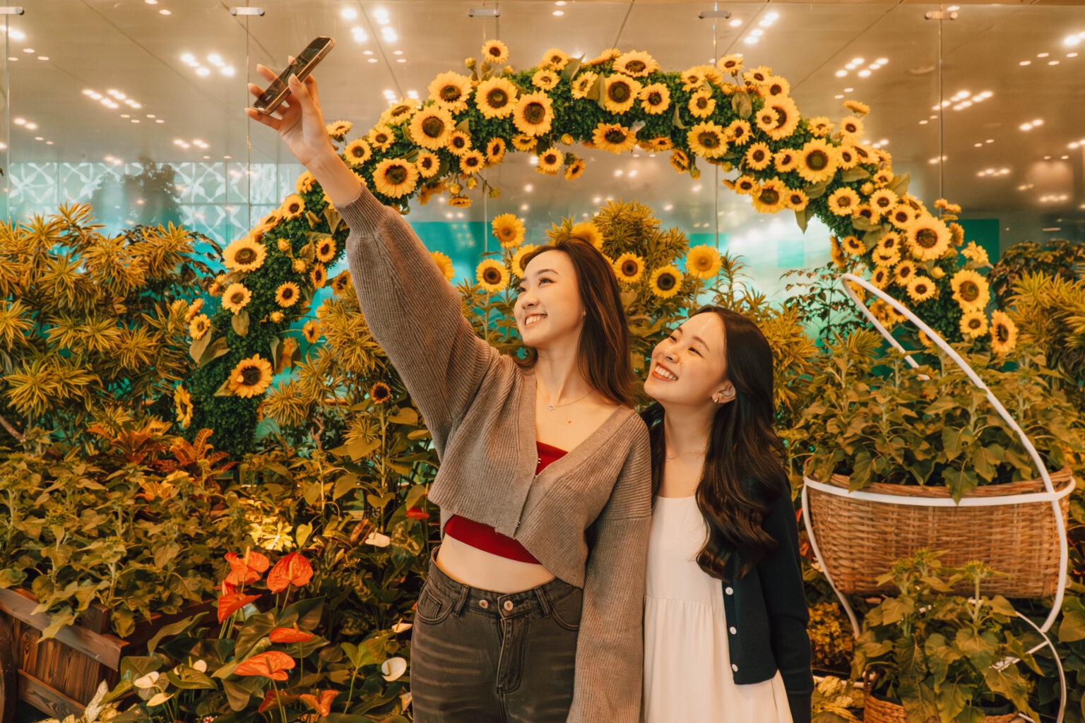Images of the Day: Changi Airport and the world’s largest sunflower ...