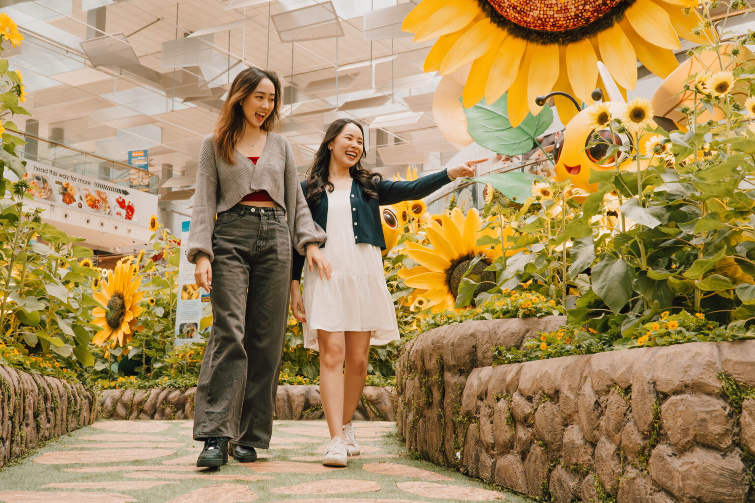 Images of the Day: Changi Airport and the world’s largest sunflower ...
