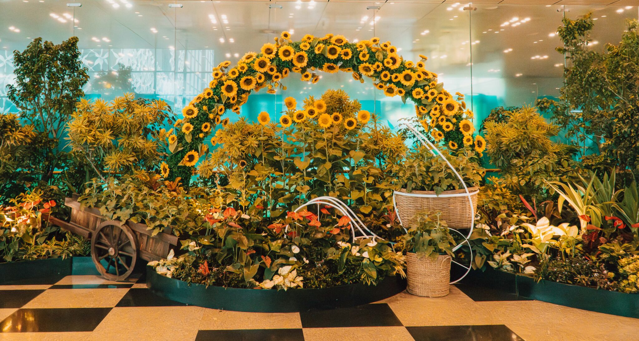 Images of the Day: Changi Airport and the world’s largest sunflower ...