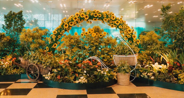 Images of the Day: Changi Airport and the world’s largest sunflower ...