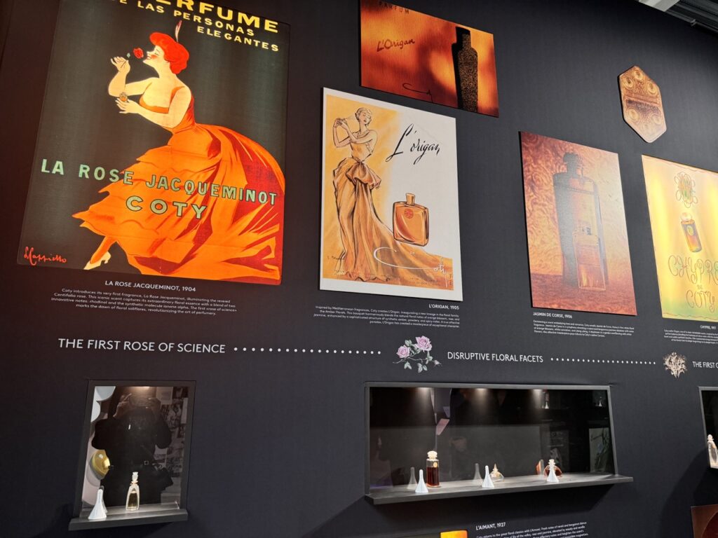 Interview: Chief Brand Officer Prestige Jean Holtzmann on reconnecting ...