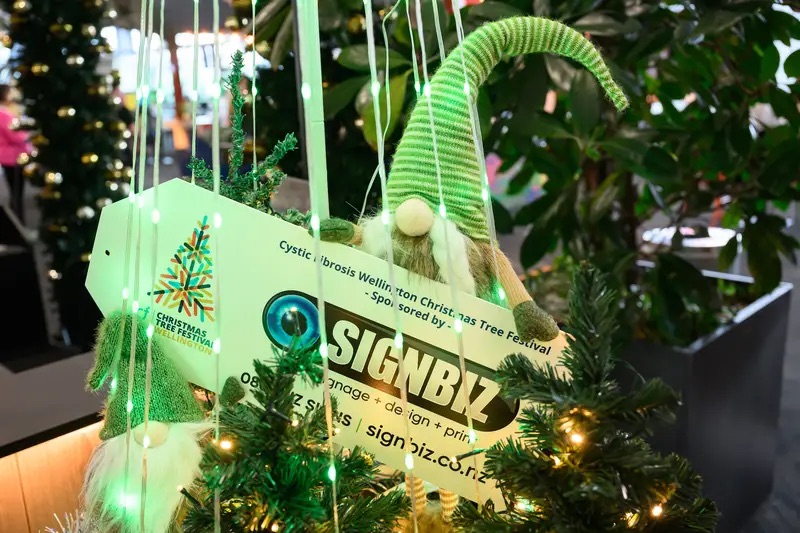 Images of the Day: Cystic Fibrosis NZ Christmas Tree Festival takes ...