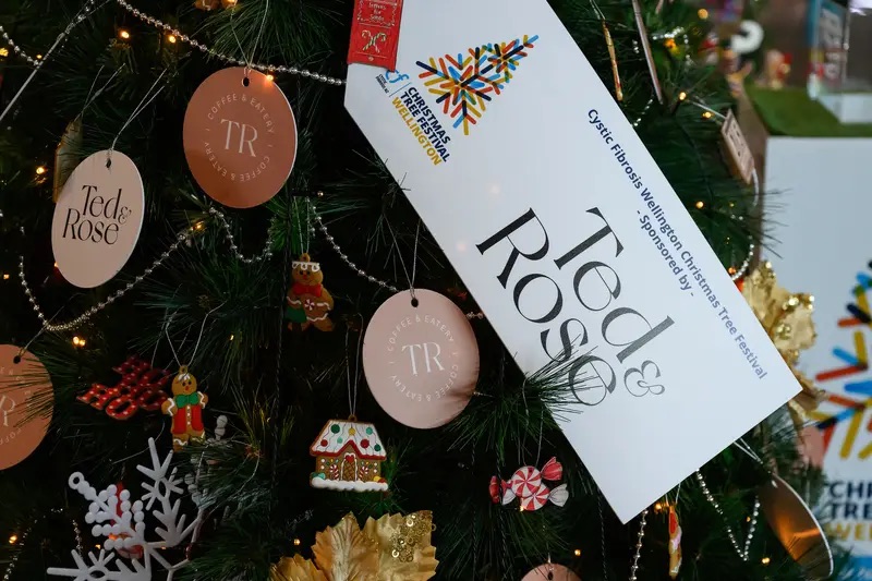 Images of the Day: Cystic Fibrosis NZ Christmas Tree Festival takes ...
