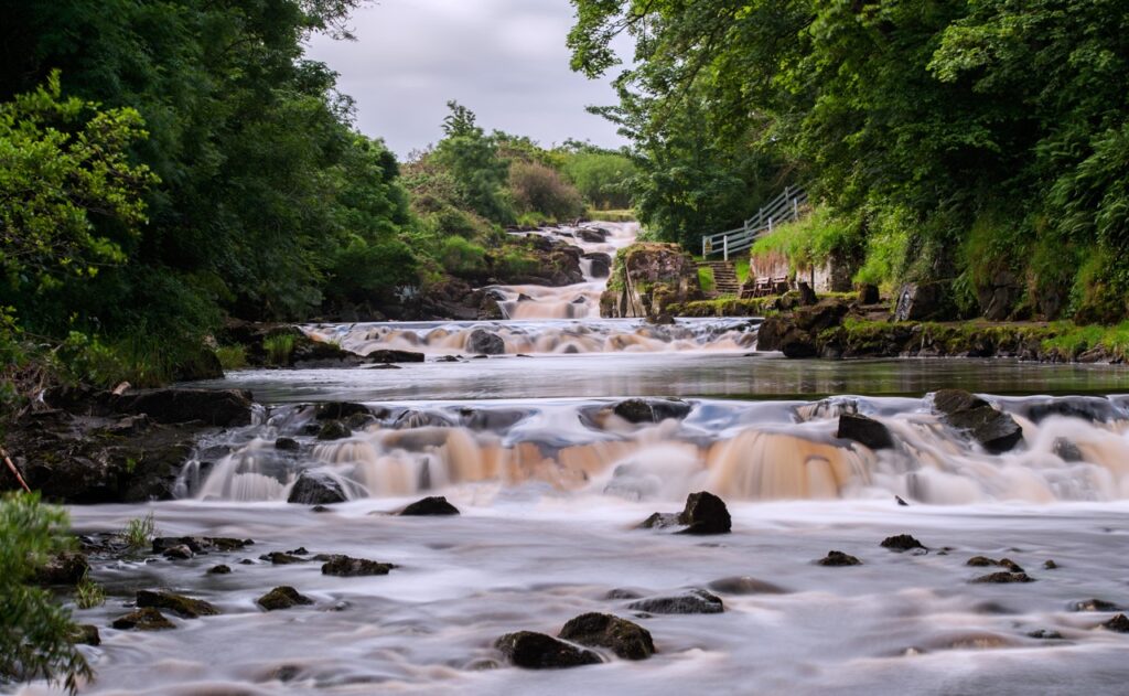 Interview – Bushmills’ Alex Thomas on whiskey exploration, cask ...