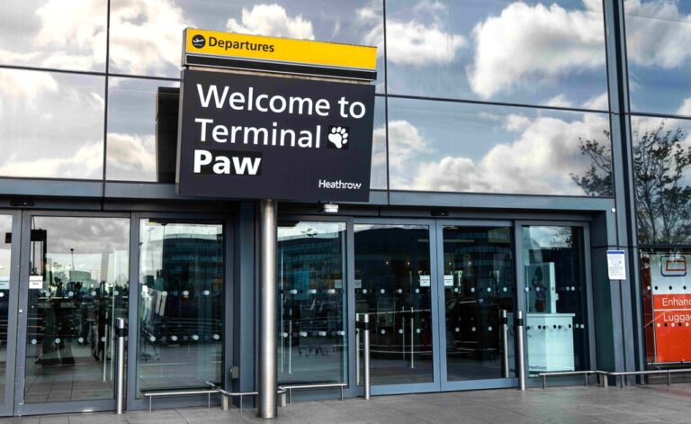 Images of the Day: Heathrow unveils ‘Terminal Paw’ as bear market ...